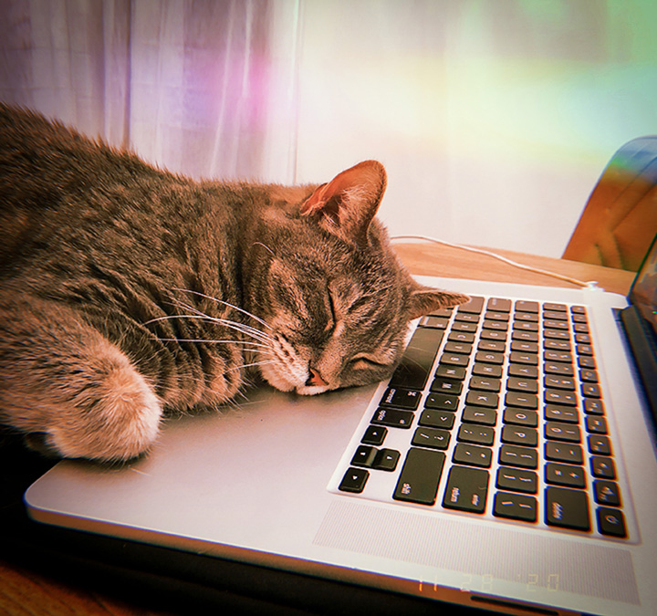 Alex Huston - Trilix